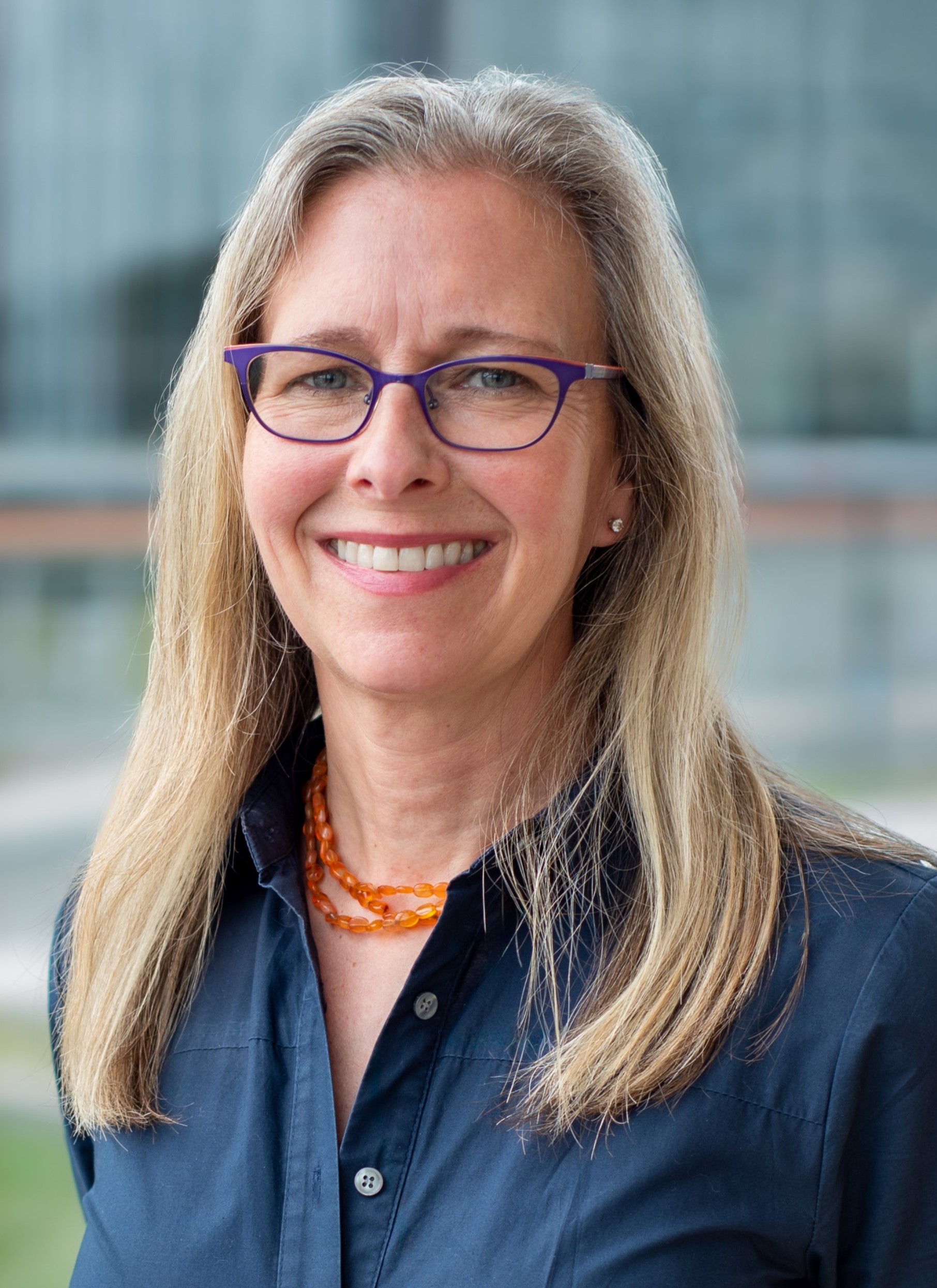 SIO Council - Community Colleges for International Development | CCID